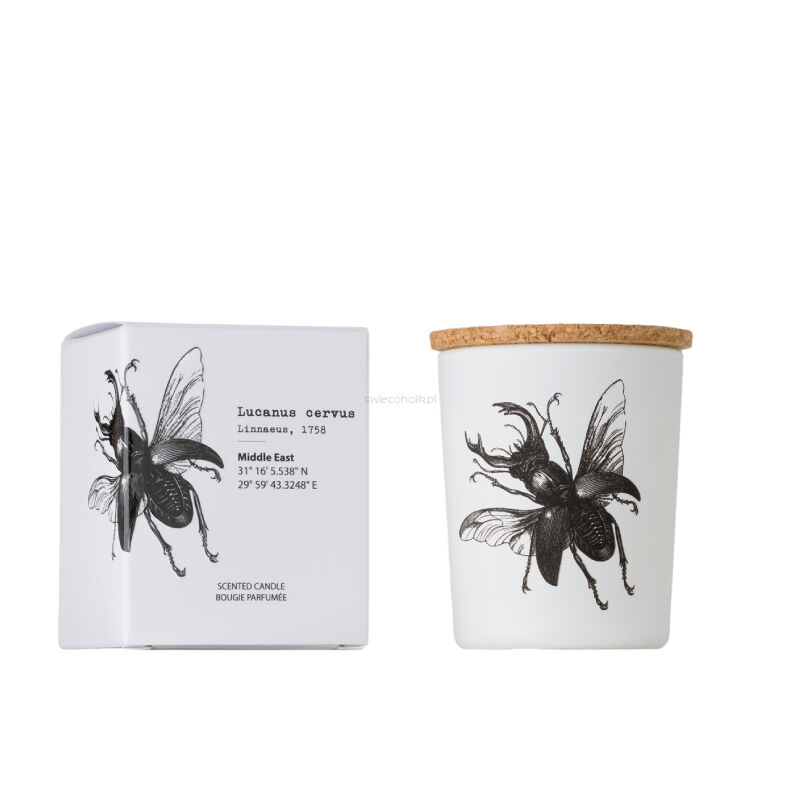 Lucanus Cervus - Vila Hermanos - świeca zapachowa 190g - seria Insect ...